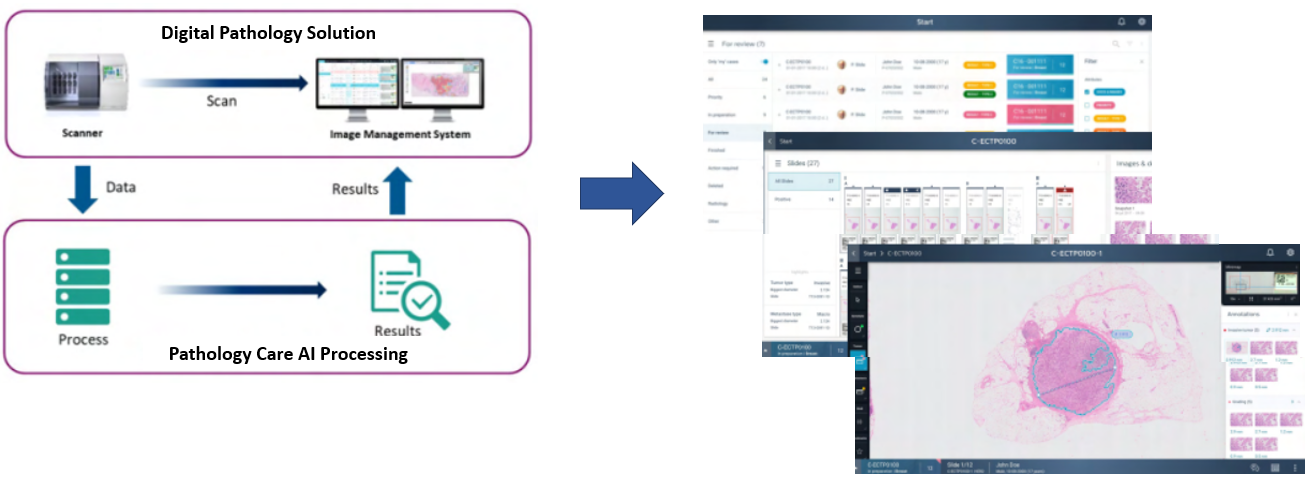 Home [pathology.care]