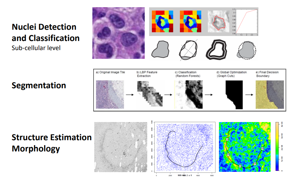 Home [pathology.care]
